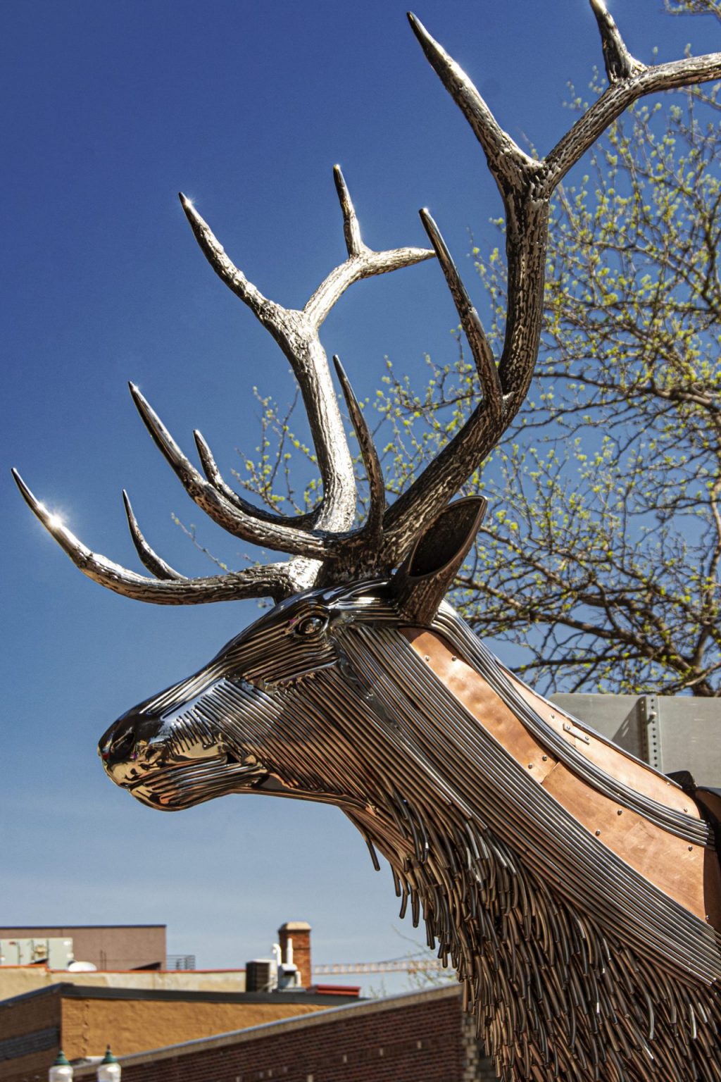 ‘Elk’ by Sturgis Artist Travis Sorenson Wins SculptureWalk’s 2022 ...