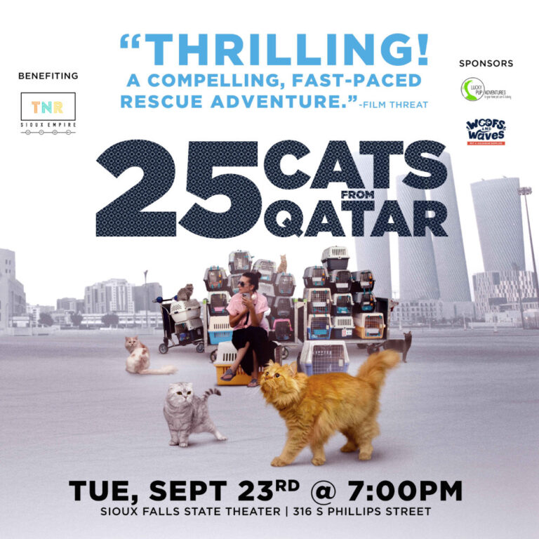 Film Premier 25 Cats From Qatar with Q&A with Director | Sioux Falls ...